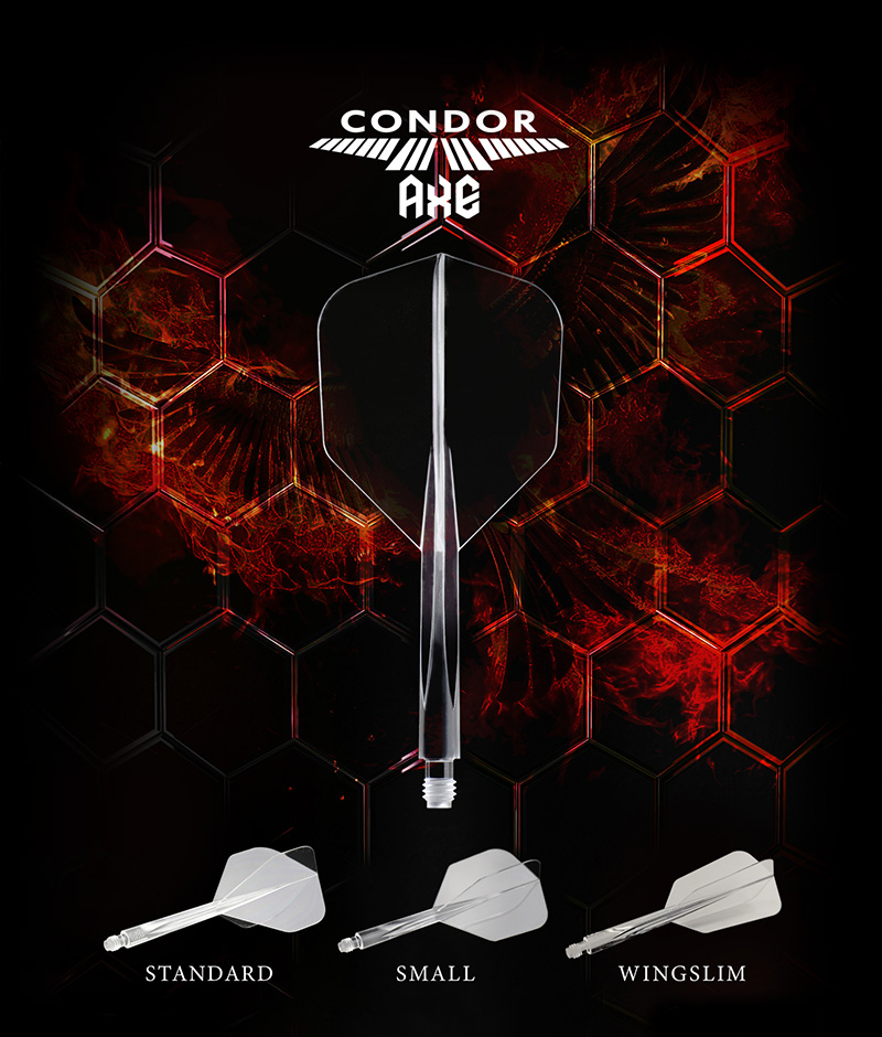 CONDOR AXE - The next generation flight of the 21st century. [Made in ...